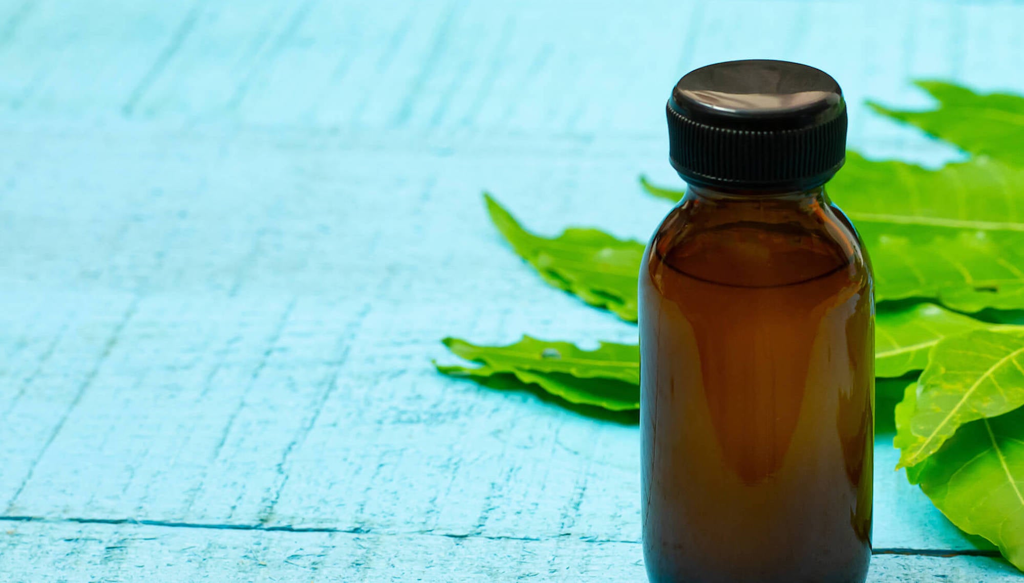 The Benefits of Neem Oil for the Skin – glorioskin